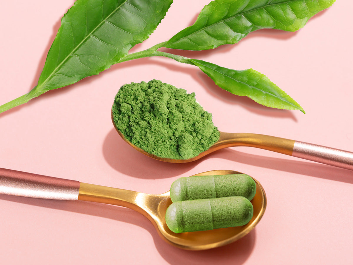 Wholesale Matcha - Organic Matcha Products - Keicha Tea World
